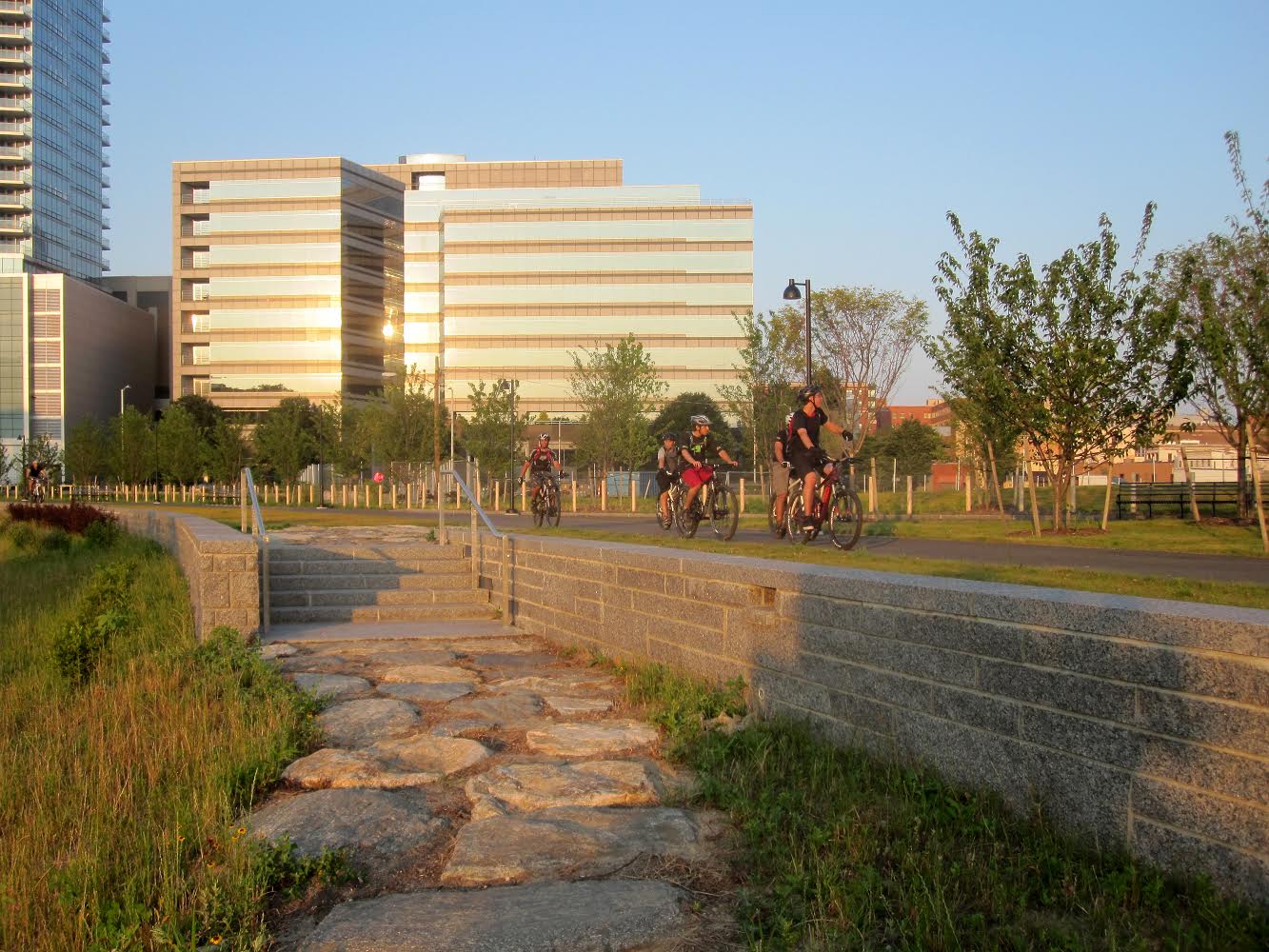 The Park - Mill River Park Collaborative