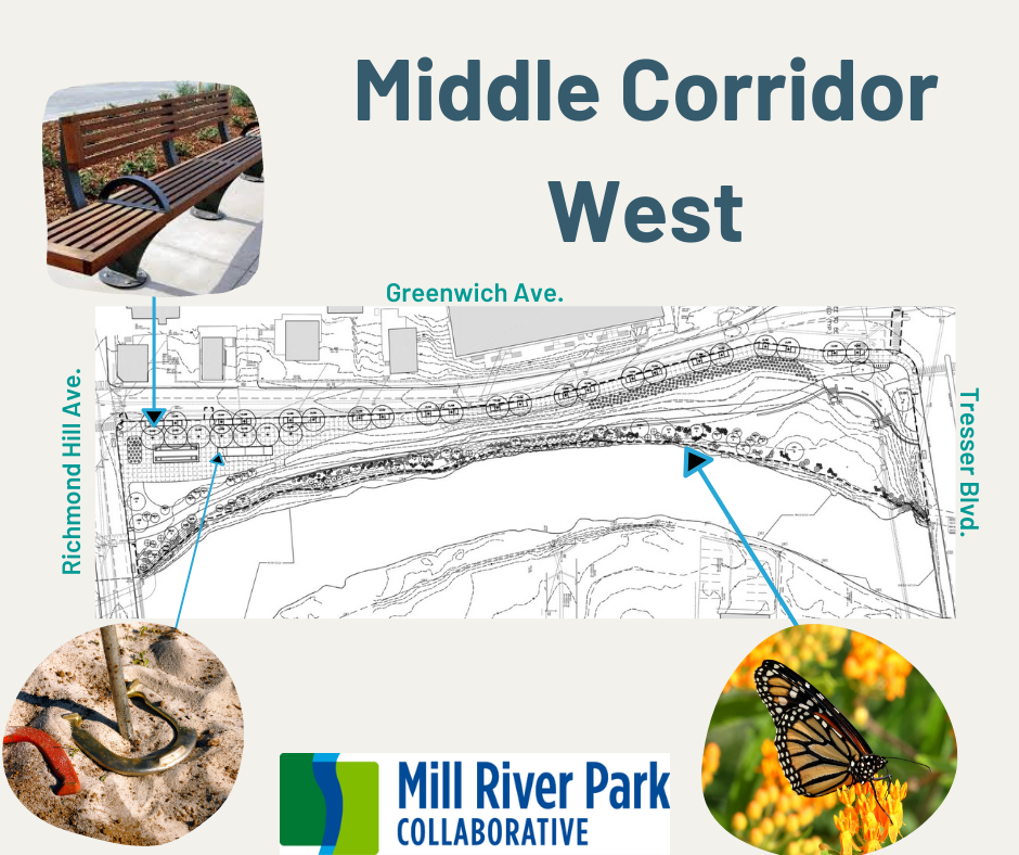 Middle Corridor - Mill River Park Collaborative