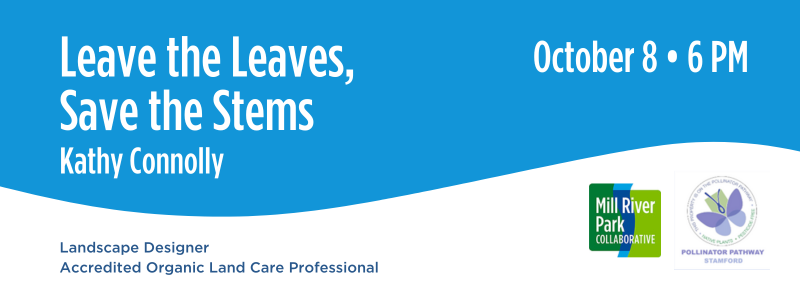 Leave the leaves, Save the Stems With Kathy Connolly - Mill River Park ...